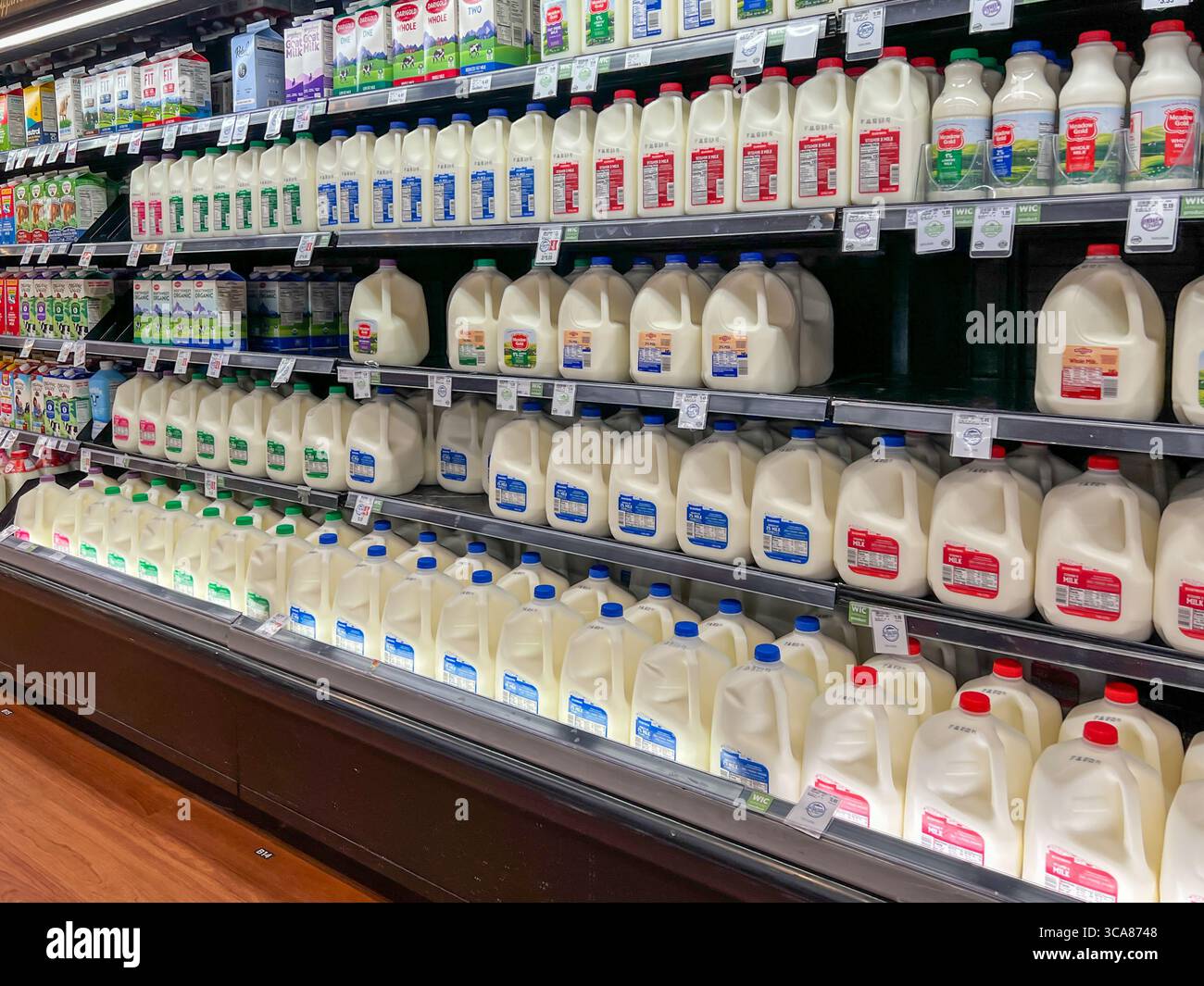 Grocery Store Shelf Milk