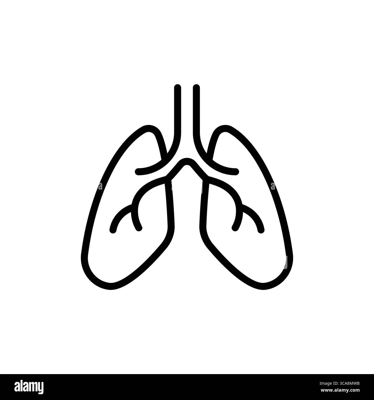 This minimalist outline of human lungs represents health and ...