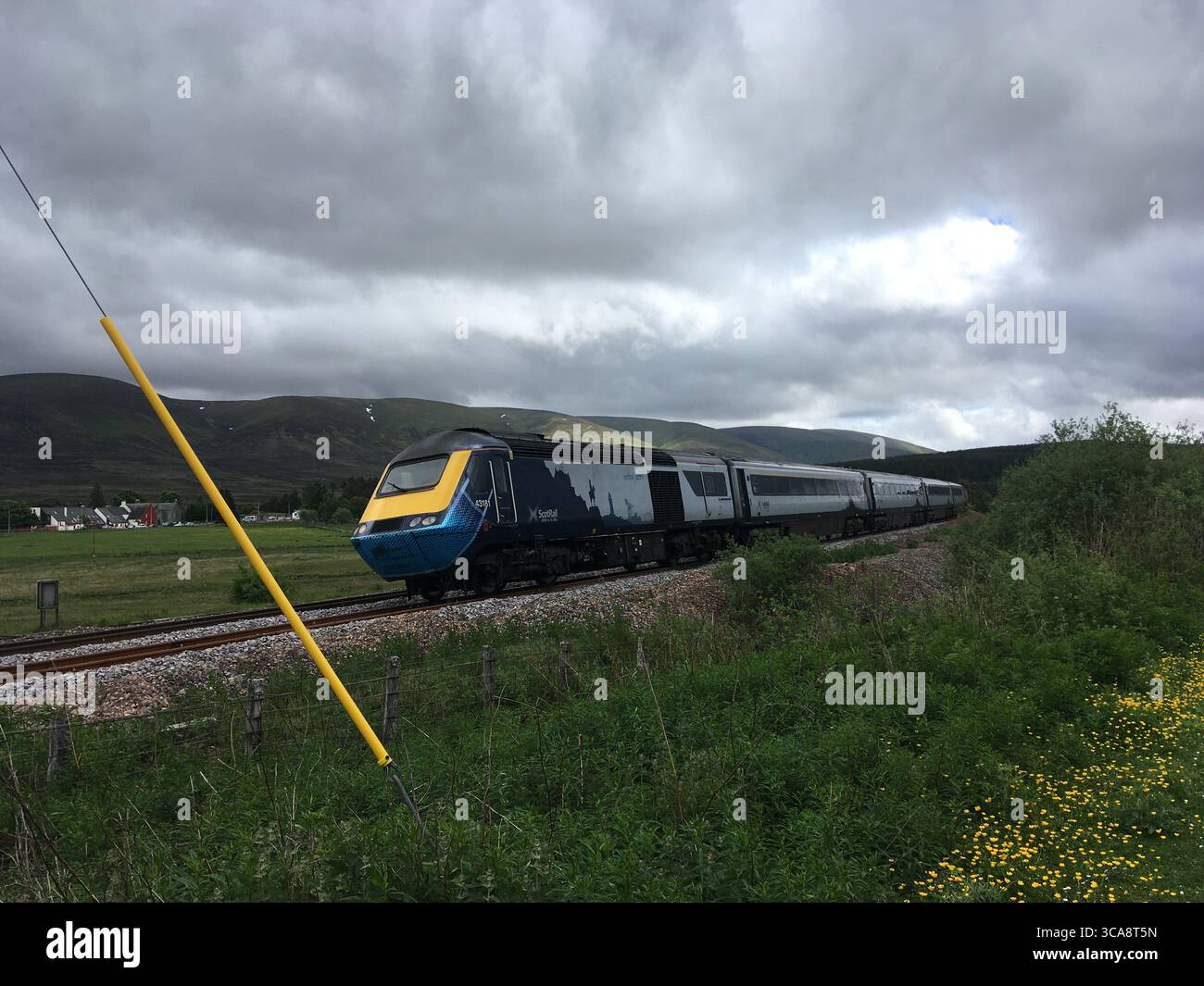 Train weaving through the Cairngorms in Scotland, framed by sweeping ...