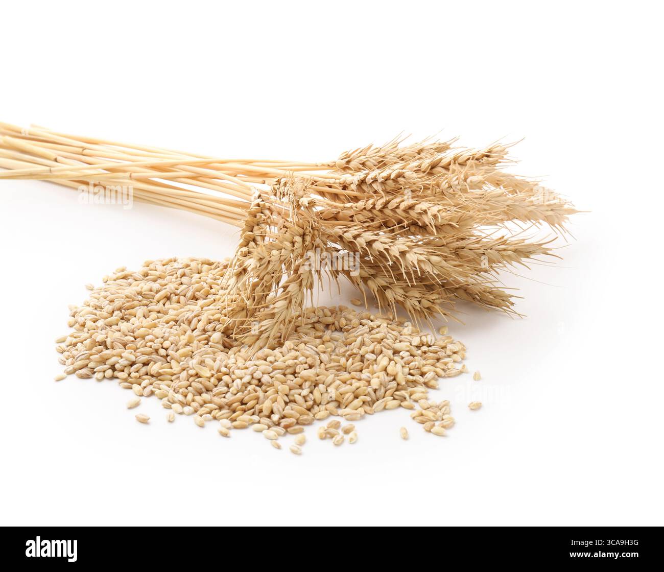 Wheat spikes and grains isolated on white Stock Photo - Alamy