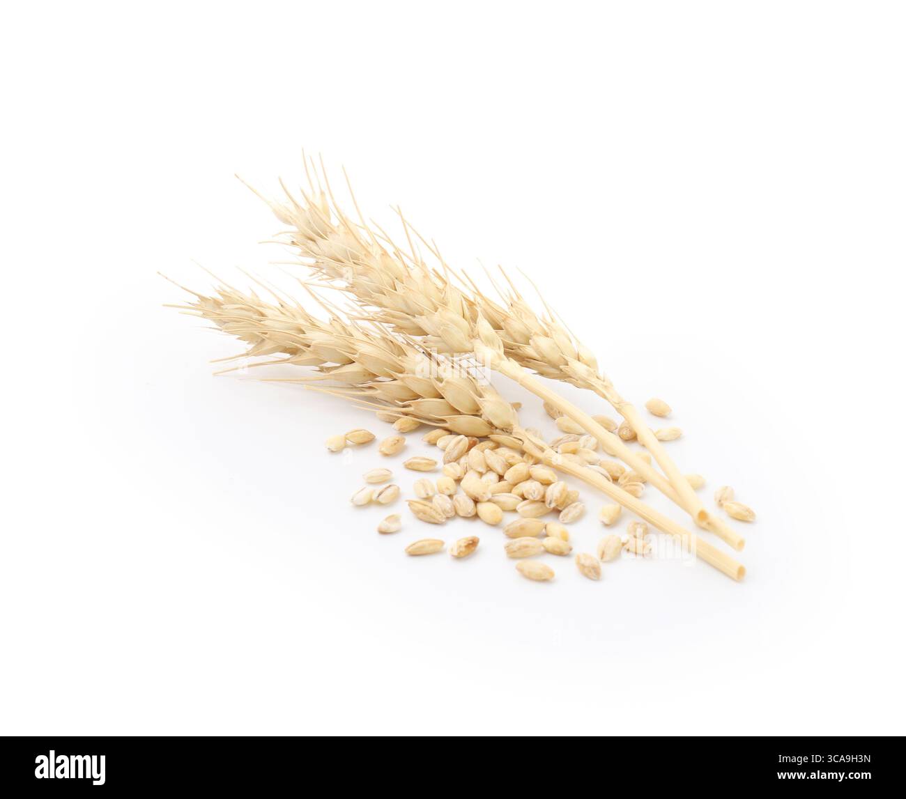 Wheat spikes and grains isolated on white Stock Photo - Alamy