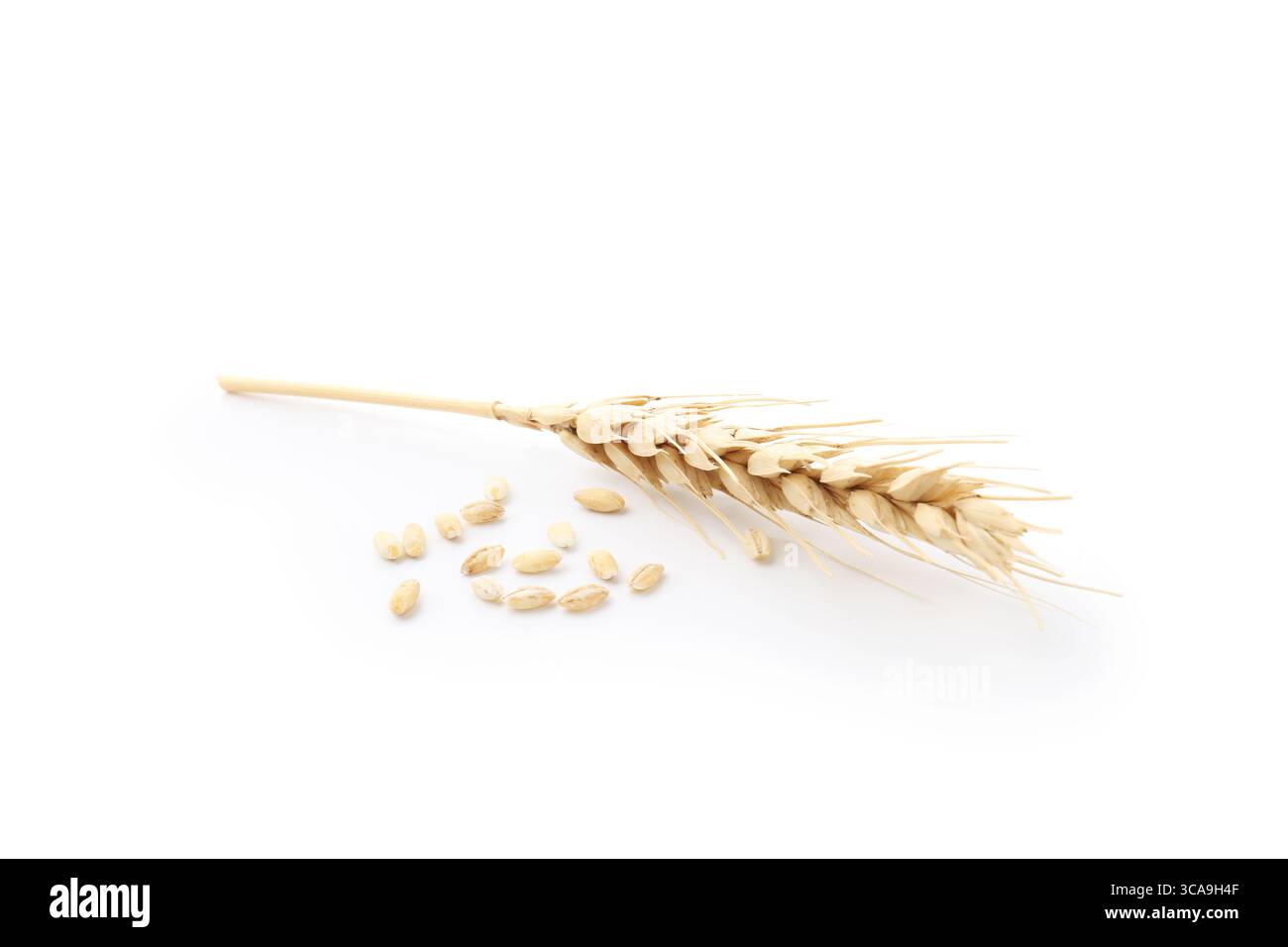 Wheat spike and grains isolated on white Stock Photo - Alamy