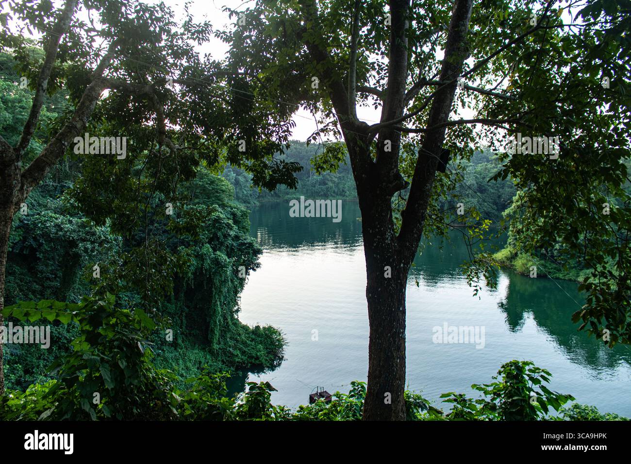 View from forested hill hi-res stock photography and images - Alamy