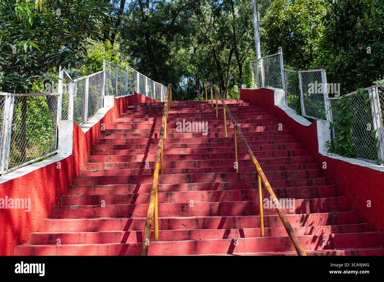Natural Forest Hill Climb with Red Steps and Sun Stock Photo - Alamy