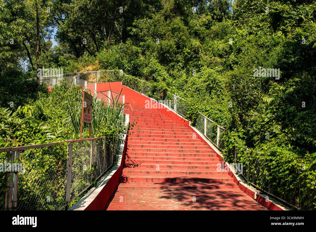 Canopy walkway stairs hi-res stock photography and images - Alamy