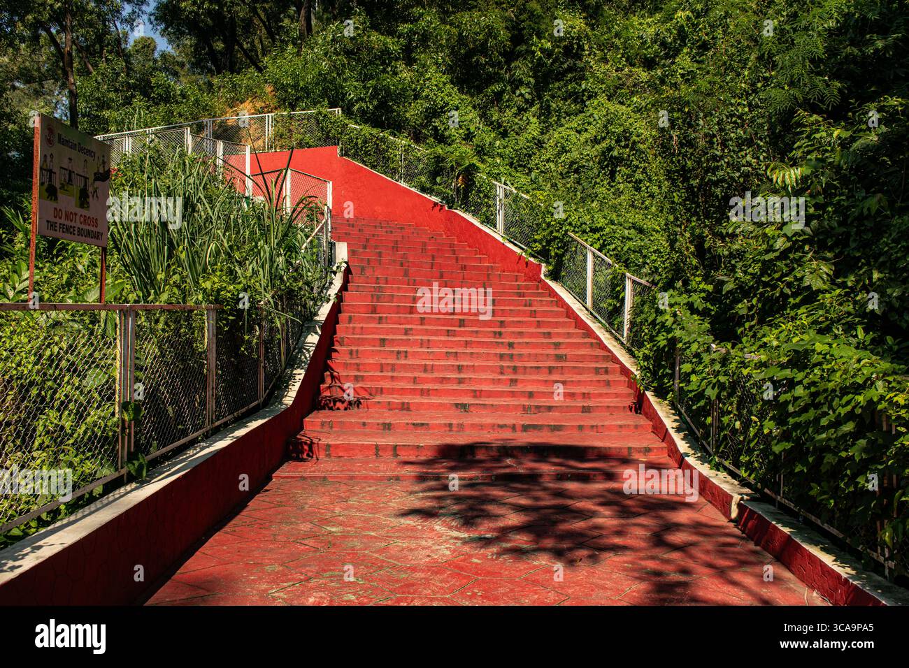 Red Pathway Through Wild Green Nature in Bangladesh Stock Photo - Alamy