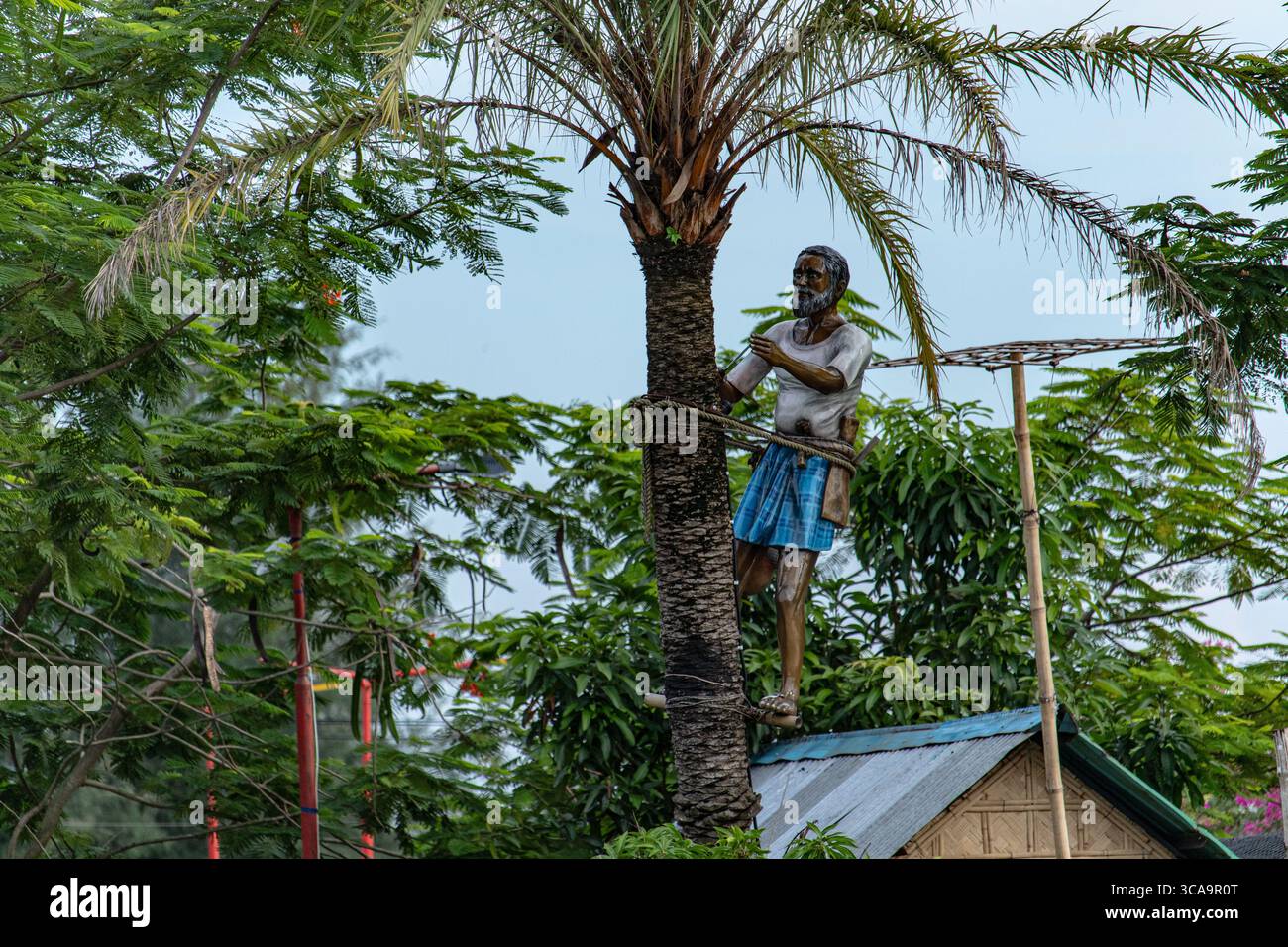 Rural palm tree tapping hi-res stock photography and images - Alamy