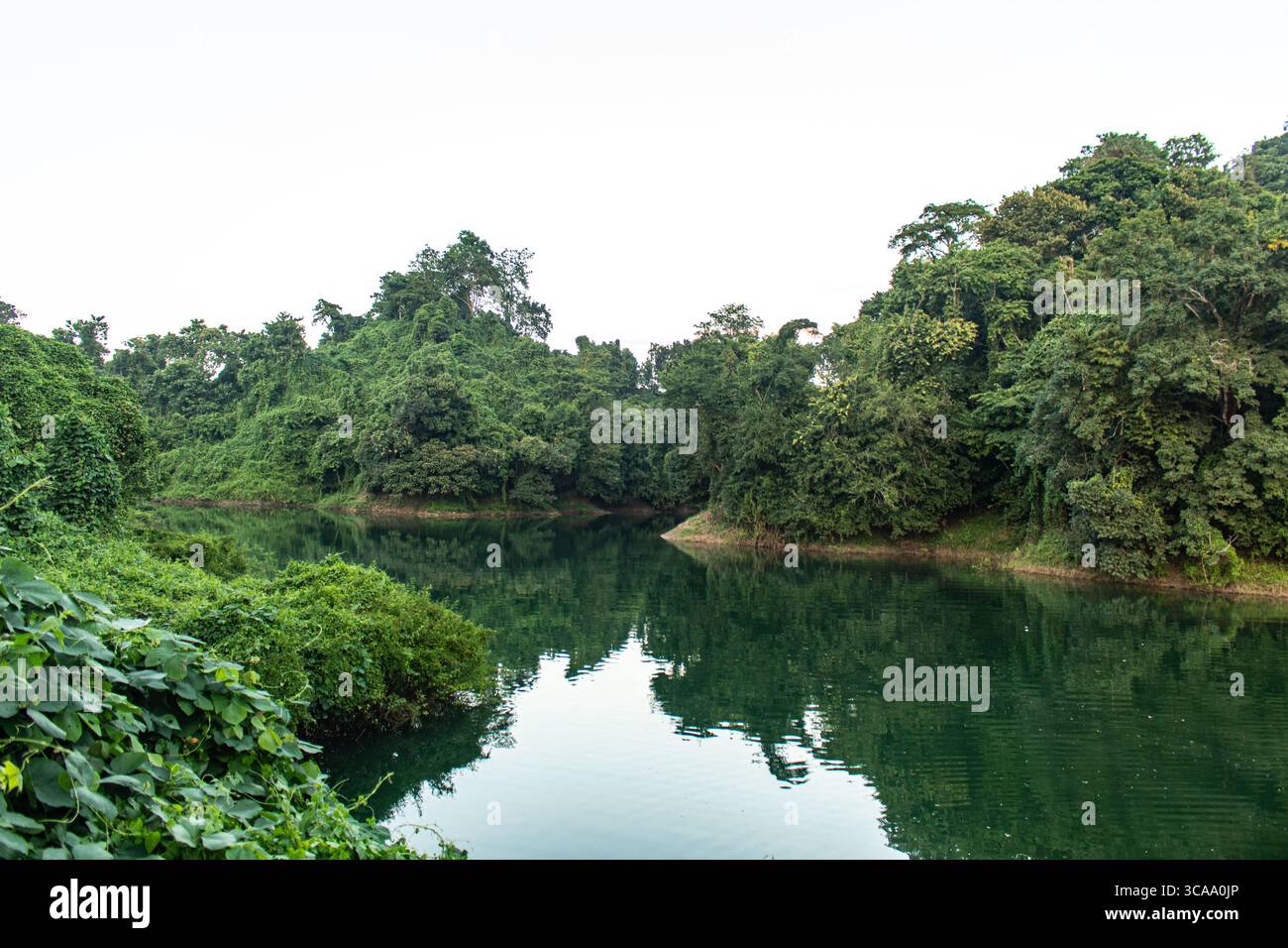 Stunning view of Kaptai Lake with green hills Stock Photo - Alamy