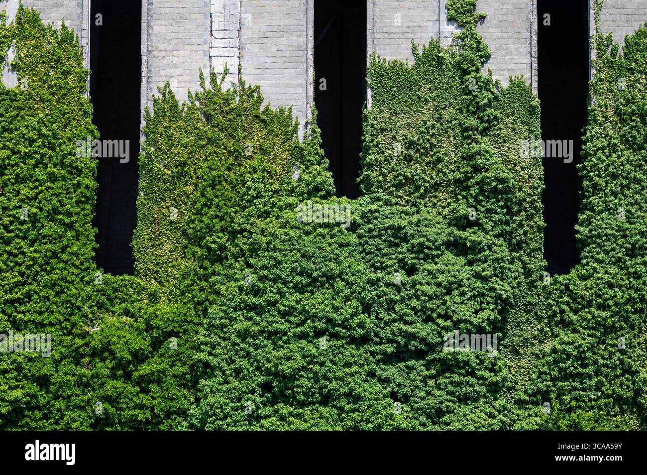 Overgrown urbex style industrial warehouse at the banks of the river ...