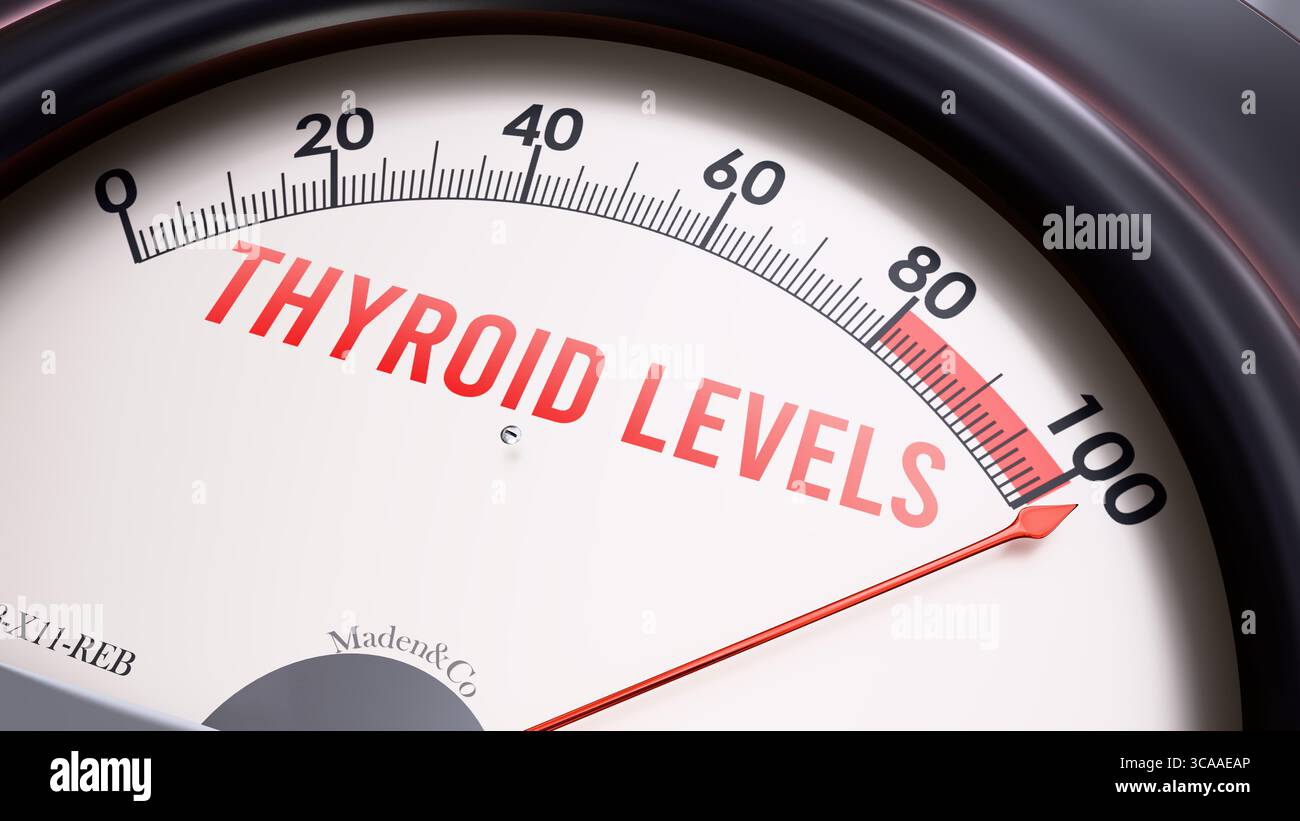 Thyroid levels that is hitting a full scale hi-res stock photography ...