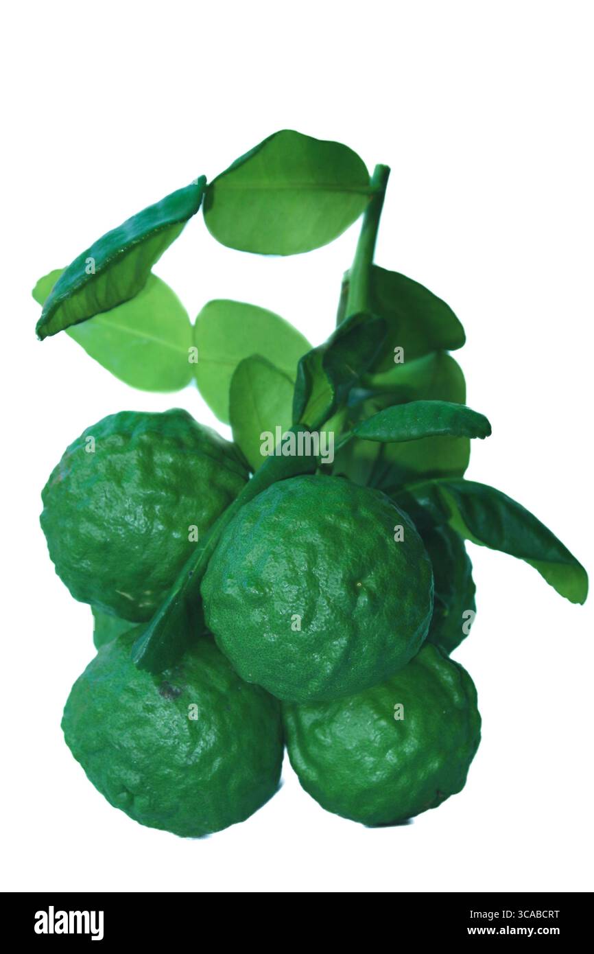 Fresh thai produce Cut Out Stock Images & Pictures - Alamy