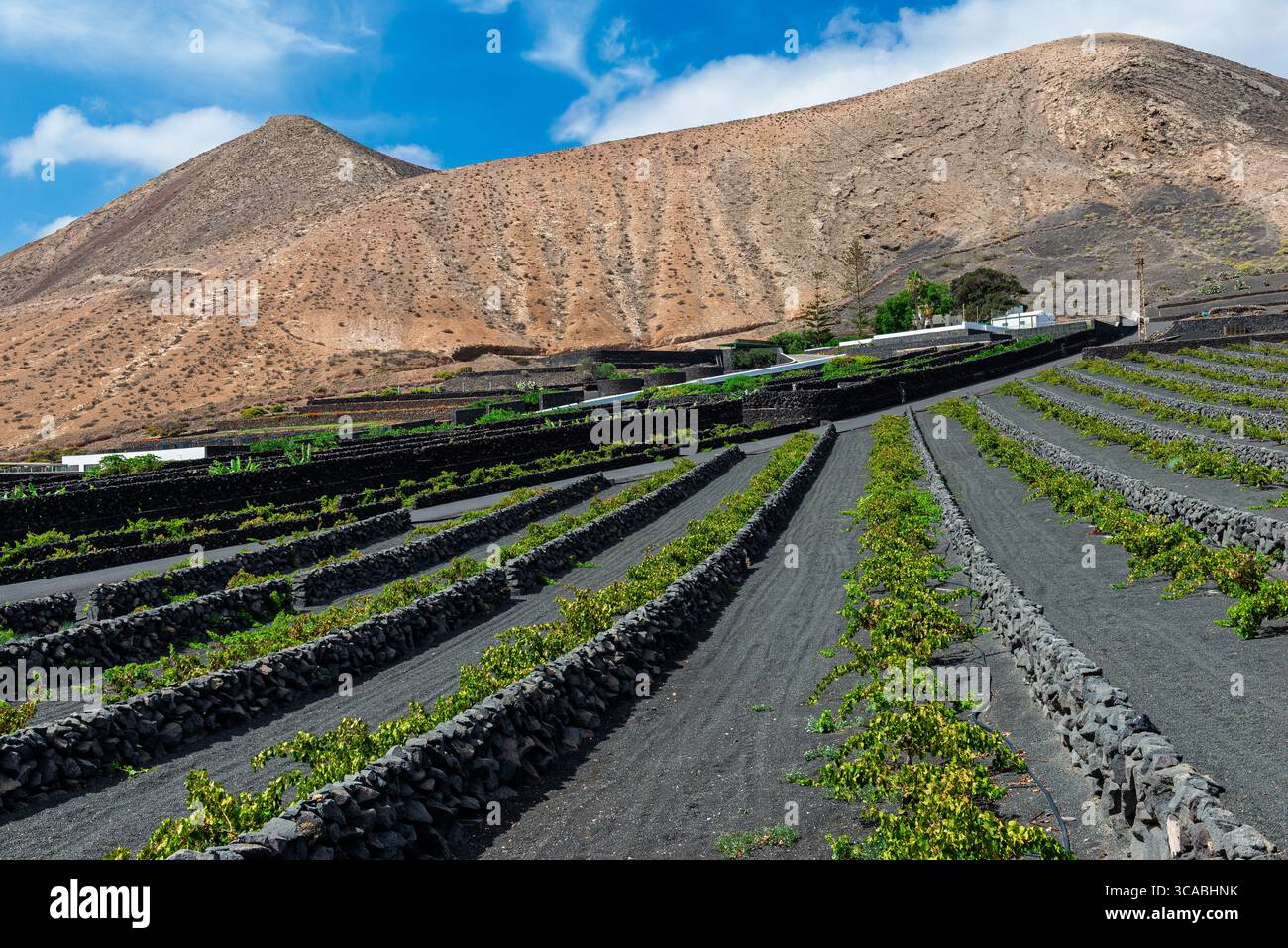 Volcanic farming techniques hi-res stock photography and images - Alamy