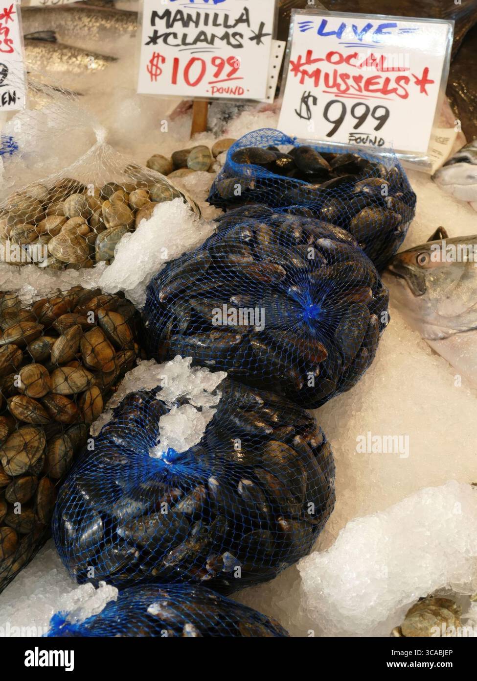 SEATTLE - APR 23, 2025 - Fresh mussels and clams are displayed in blue ...