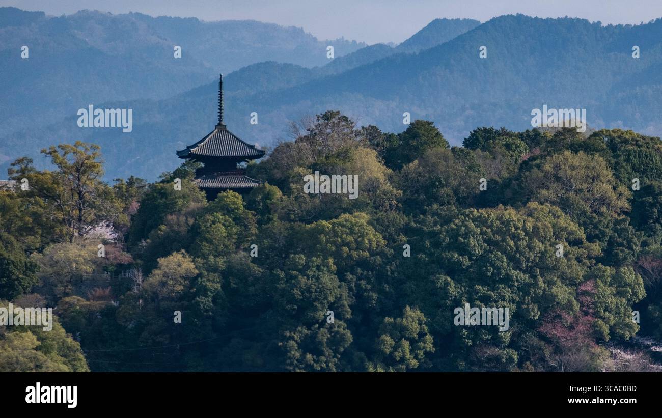 Konkai komyo ji temple hi-res stock photography and images - Alamy