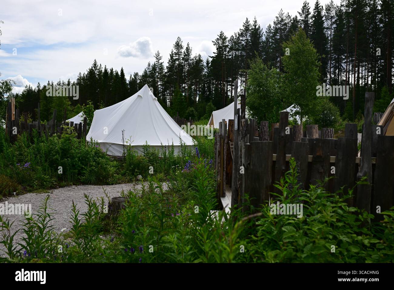 Rättvik, Dalarna, Sweden. June 29 2025. Glamping Area Outside of the ...