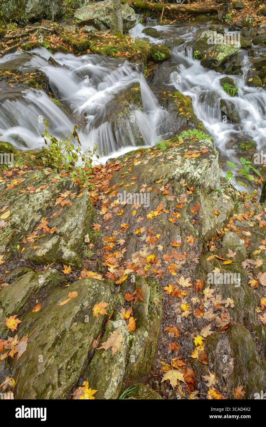Top of Lewis Spring Falls, Shenandoah National Park, Virginia Stock ...