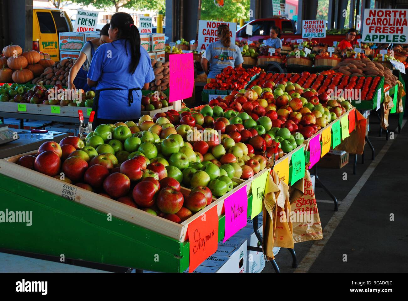 Variety of organic forms hi-res stock photography and images - Alamy