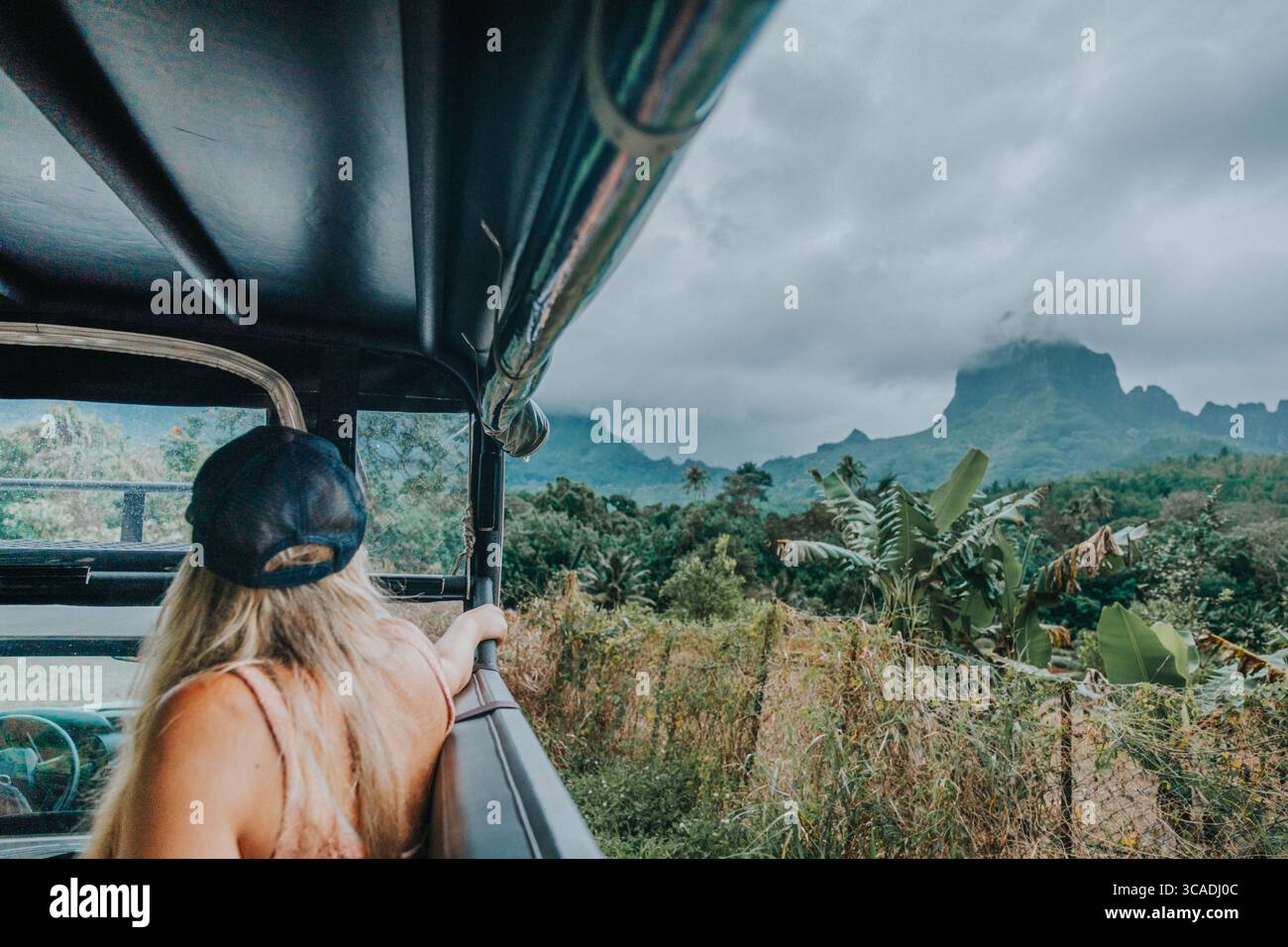 Tourist enjoying a scenic 4x4 safari adventure through lush jungle with ...