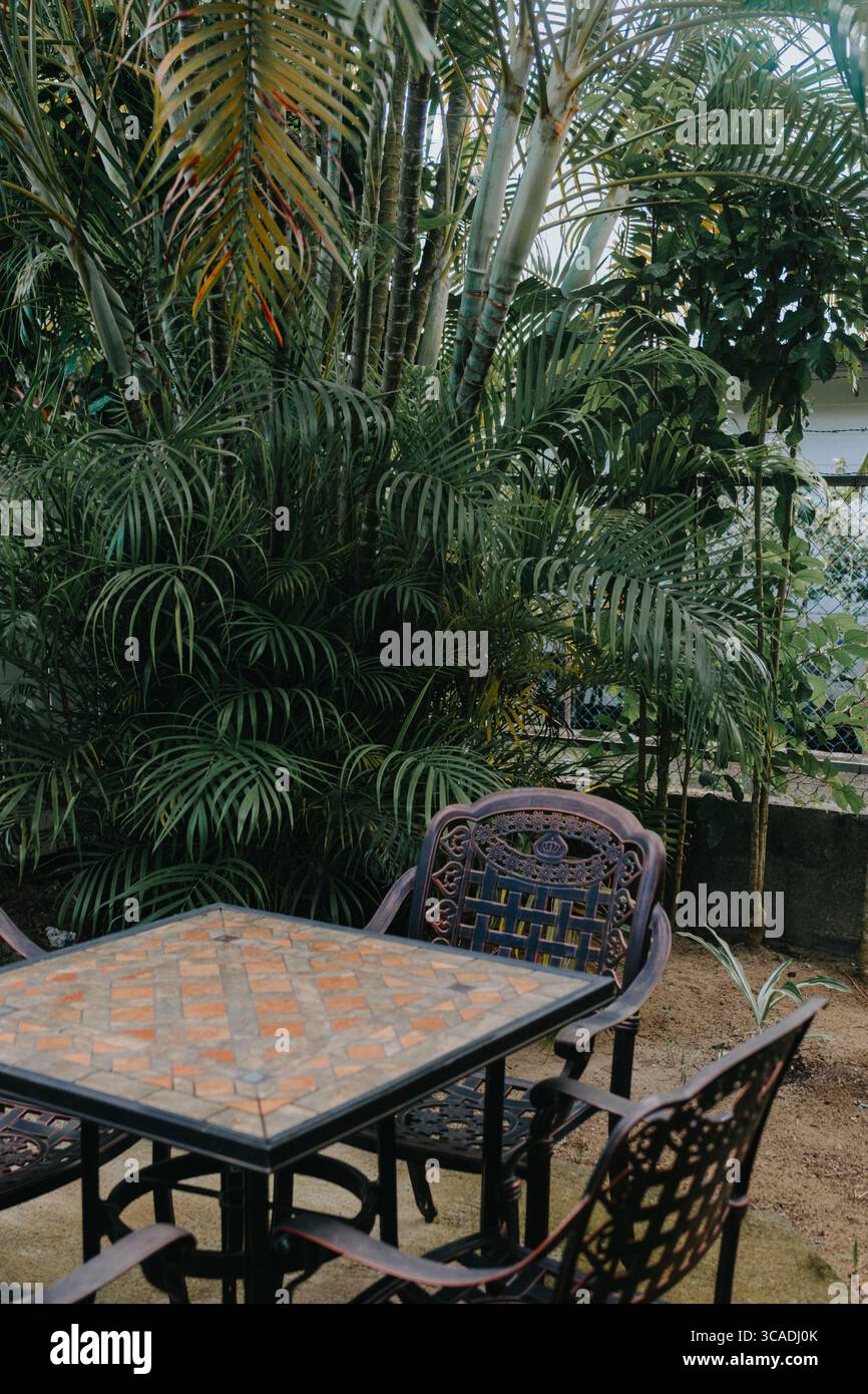 Outdoor patio seating surrounded by lush tropical plants in Moorea ...