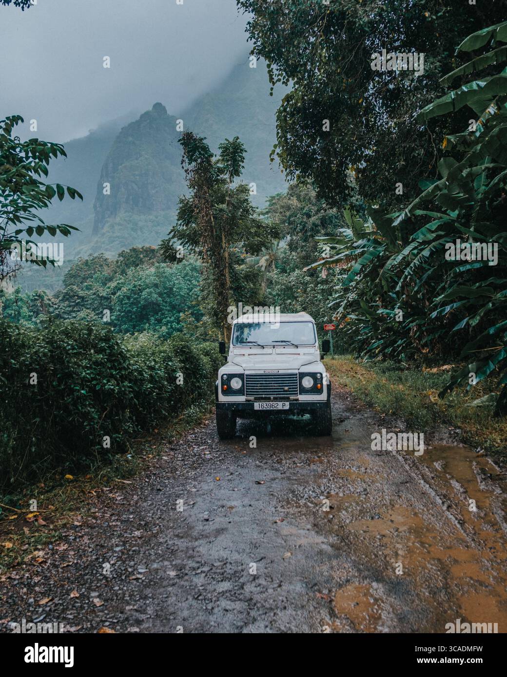 Off-road vehicle driving through tropical jungle on Pineapple Road in ...