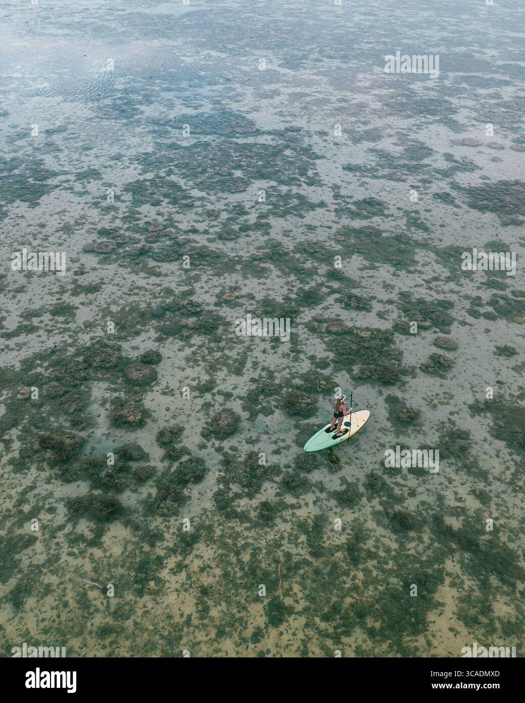 Aerial view stand up paddleboarder hi-res stock photography and images ...
