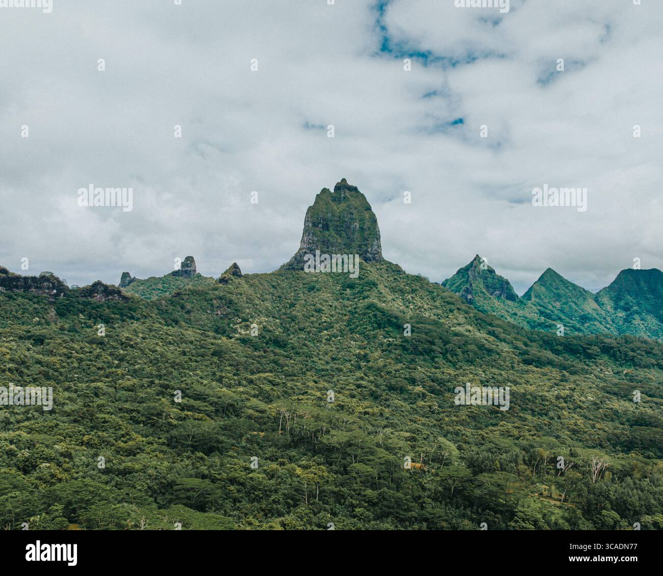 Panoramic view of Mount Tohivea and surrounding peaks on Moorea Island ...