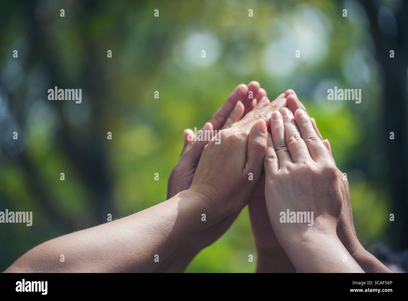 Group of teamwork high five team together hands raise up power partner ...