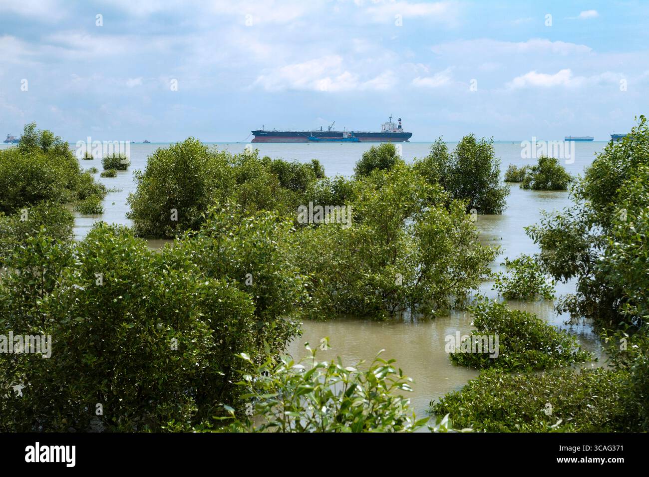 Oil tanker at Johore Strait - view from The Southern Most Tip of Asia ...