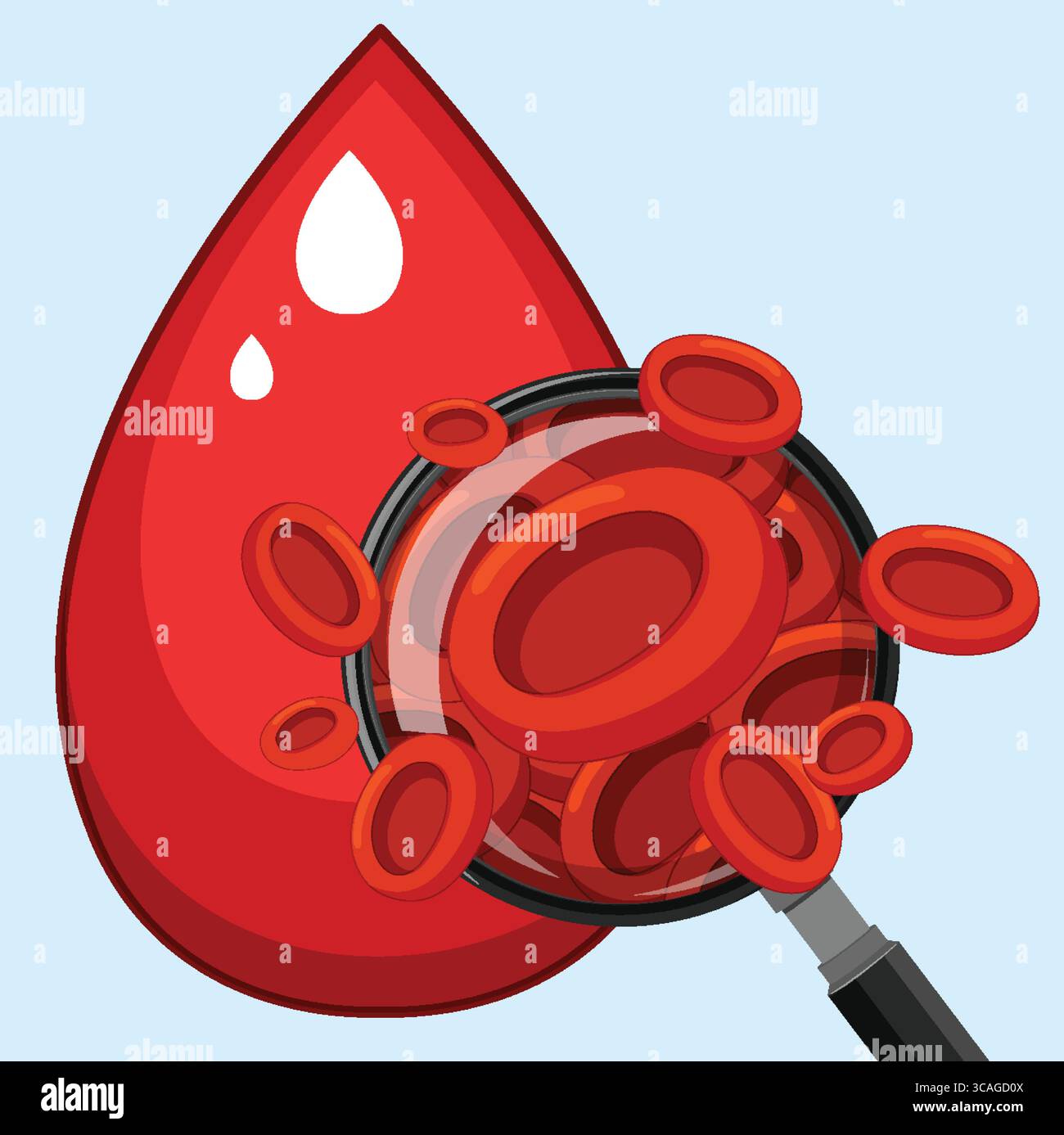 Vector illustration of red blood cells magnified over a blood drop ...