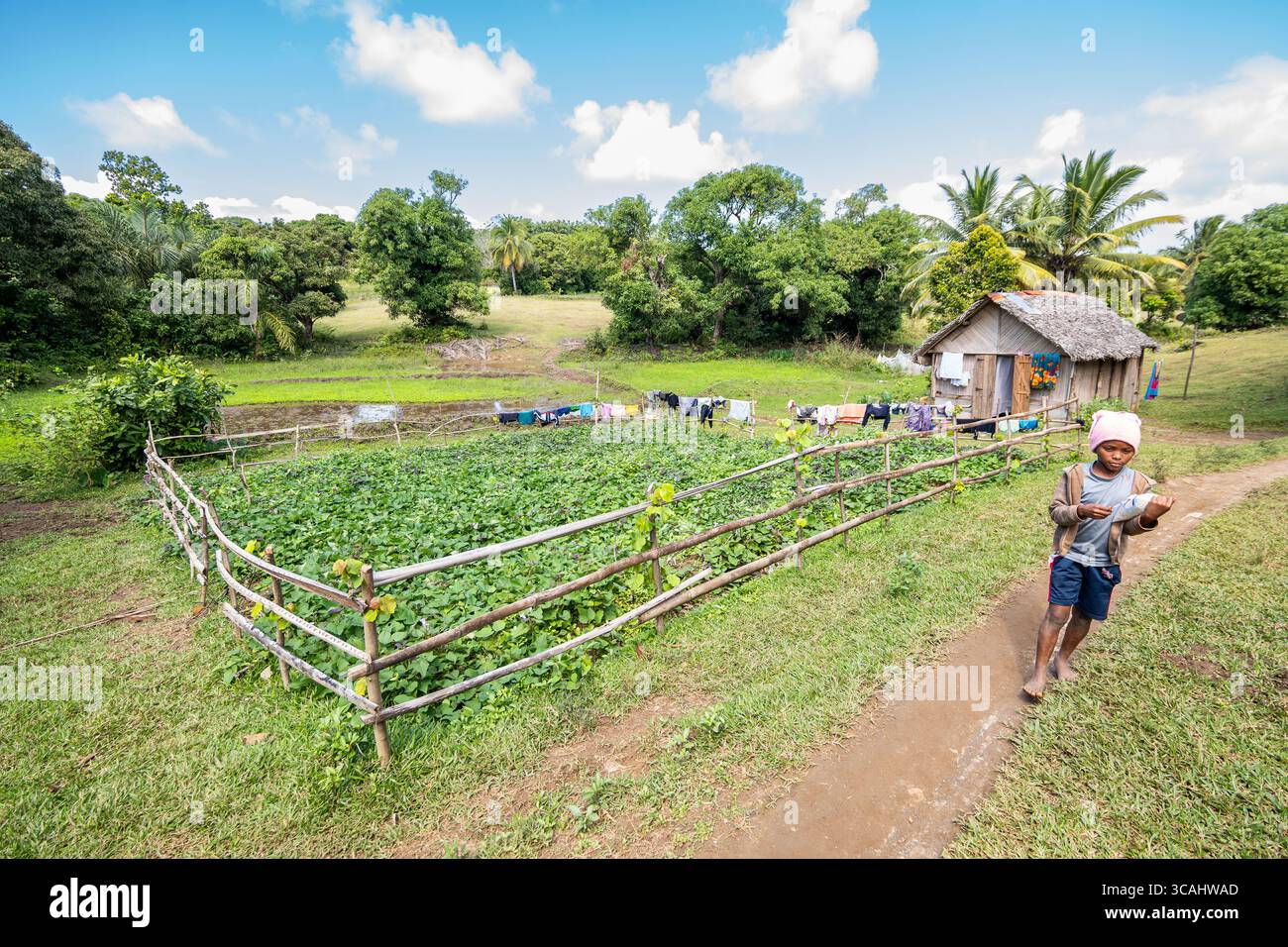 Wooden hut in Sainte-Marie’s lush interior, Madagascar — glimpse of ...