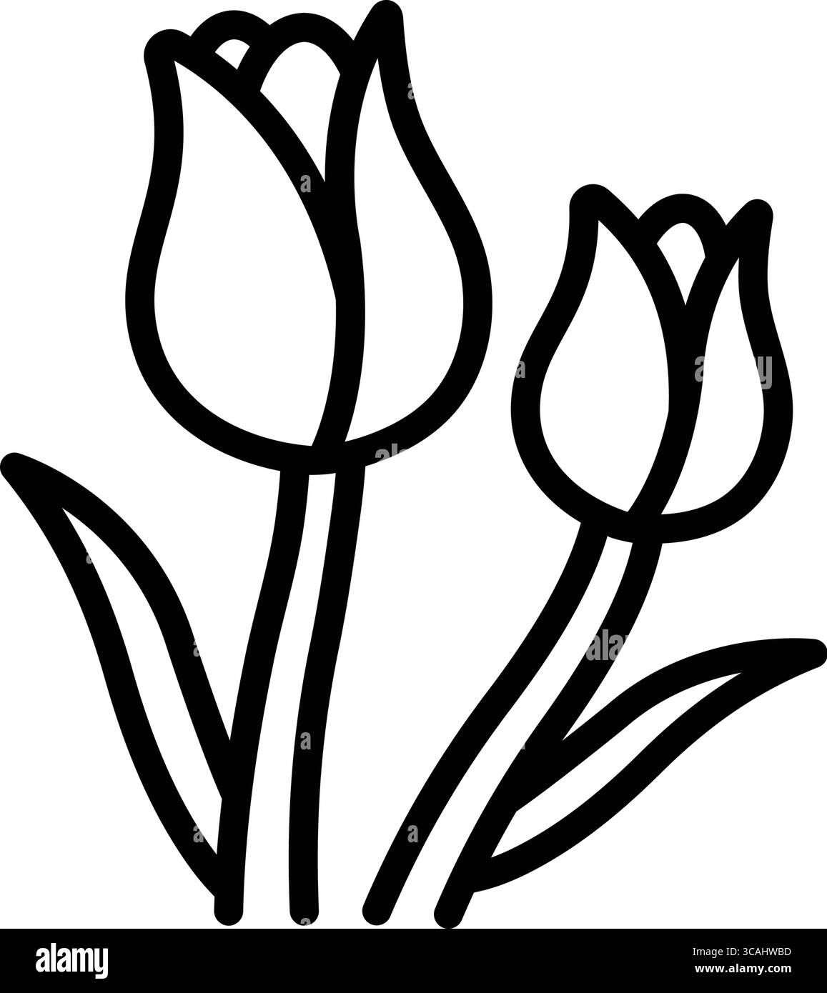 Bulbous spring Stock Vector Images - Alamy