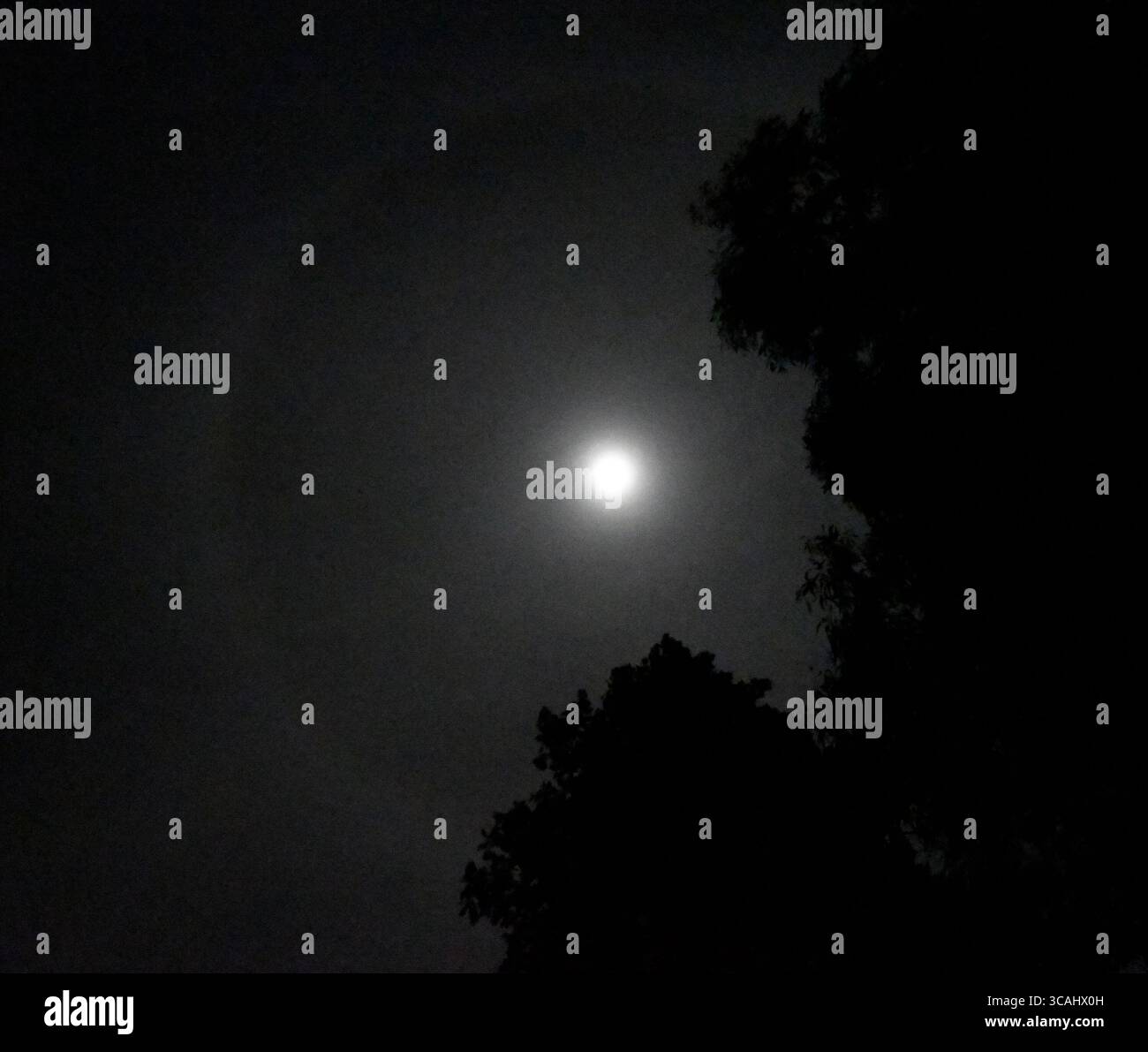 A moon halo seen late Sunday over Van Nuys CA/USA, Nov 26, 2023. The ...