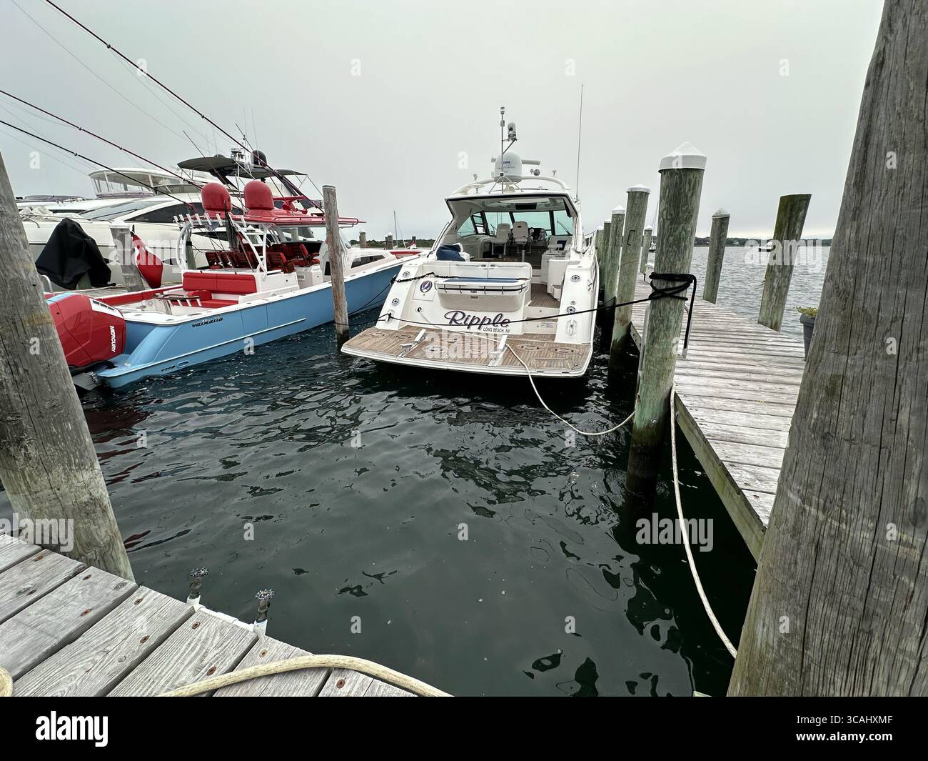 Homicide squad continues investigation of martha nolan oõslatarra hi ...