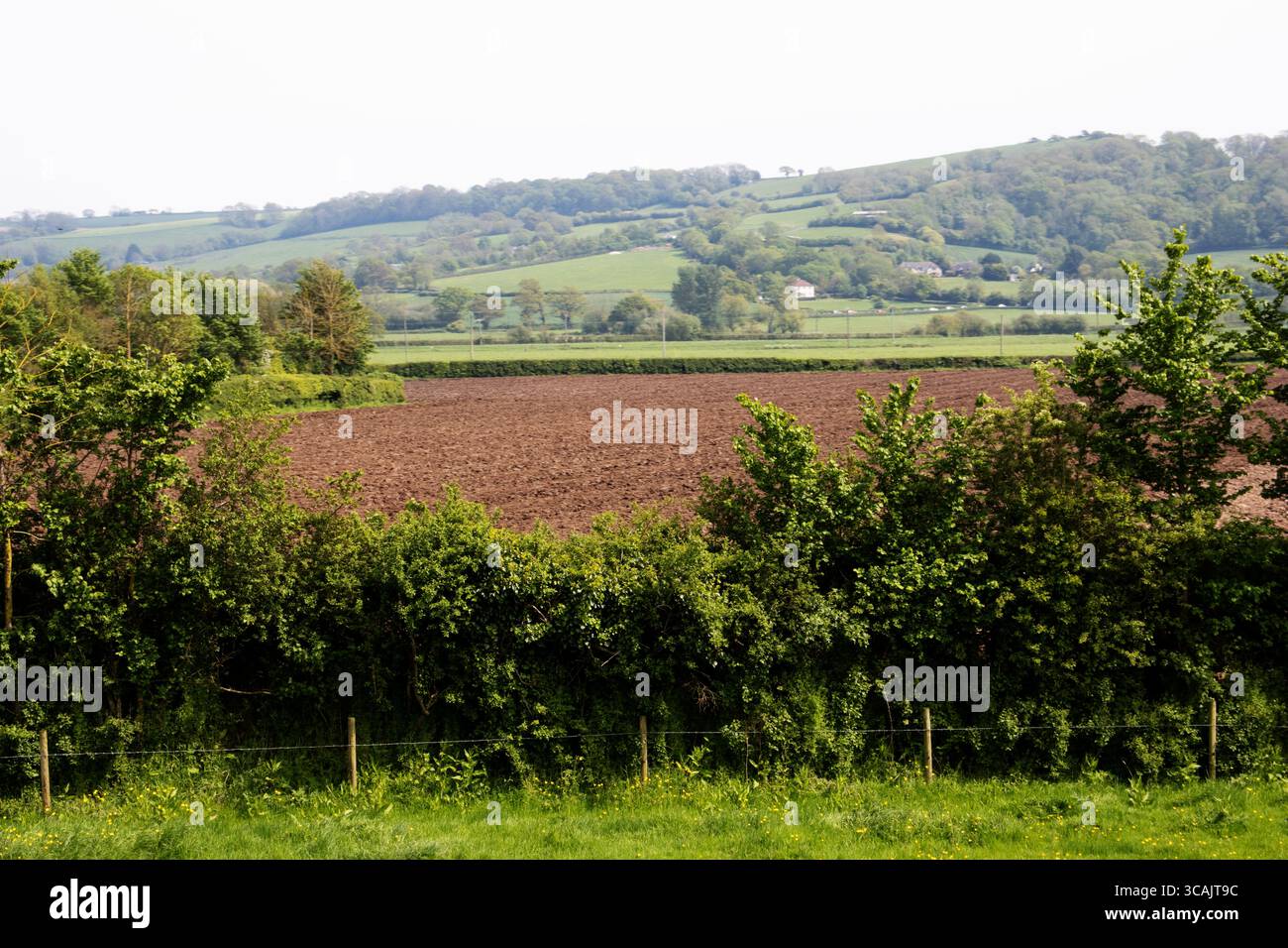 Meadow green hills fields panorama hi-res stock photography and images - Alamy