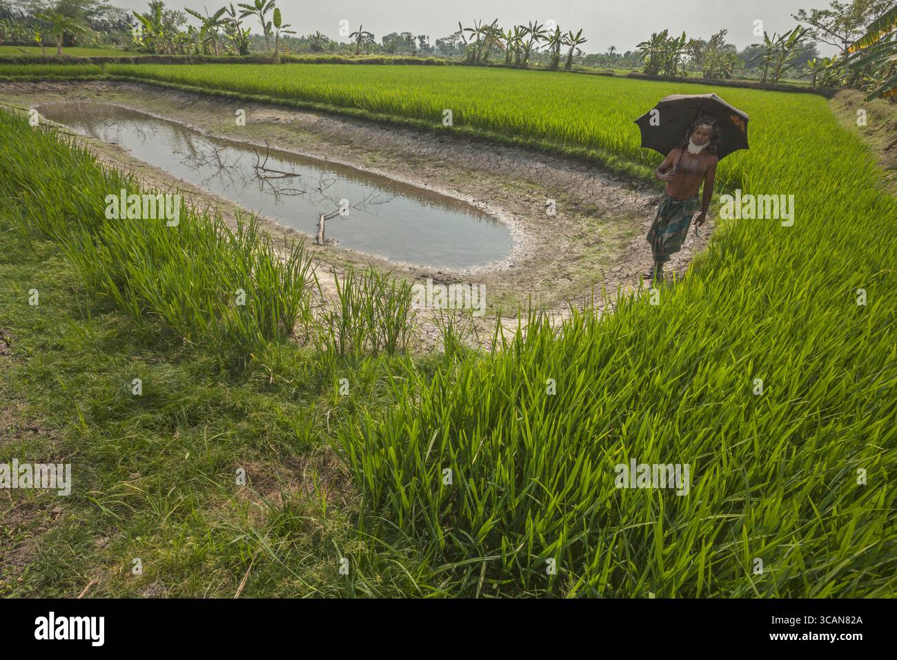 A farmer glides across his pond in a traditional bamboo raft, checking on his fish farm next to ...