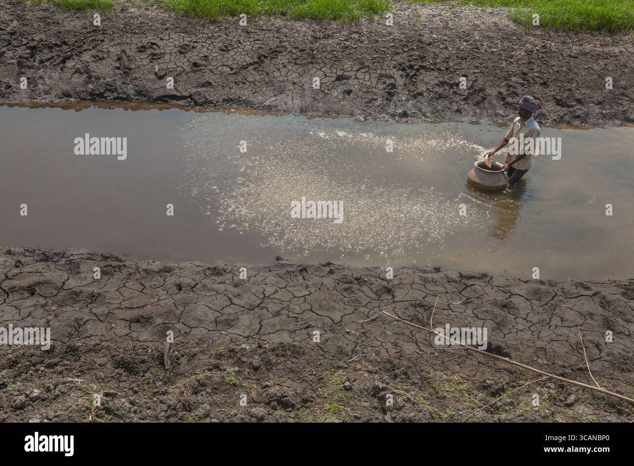 A farmer glides across his pond in a traditional bamboo raft, checking ...