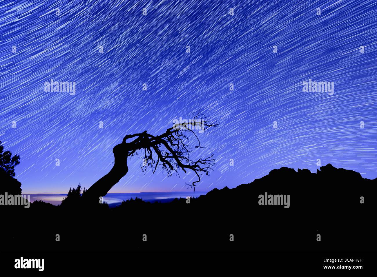 Astral tapestry night sky hi-res stock photography and images - Alamy