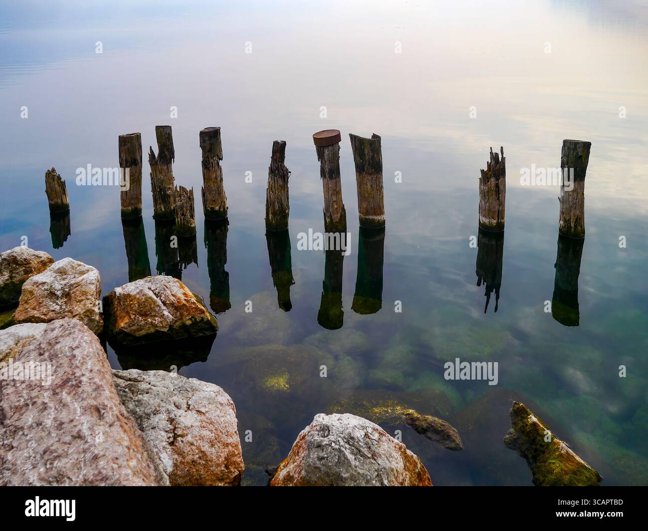 Partially rotted dolphins, also known as bollards, at the port of ...