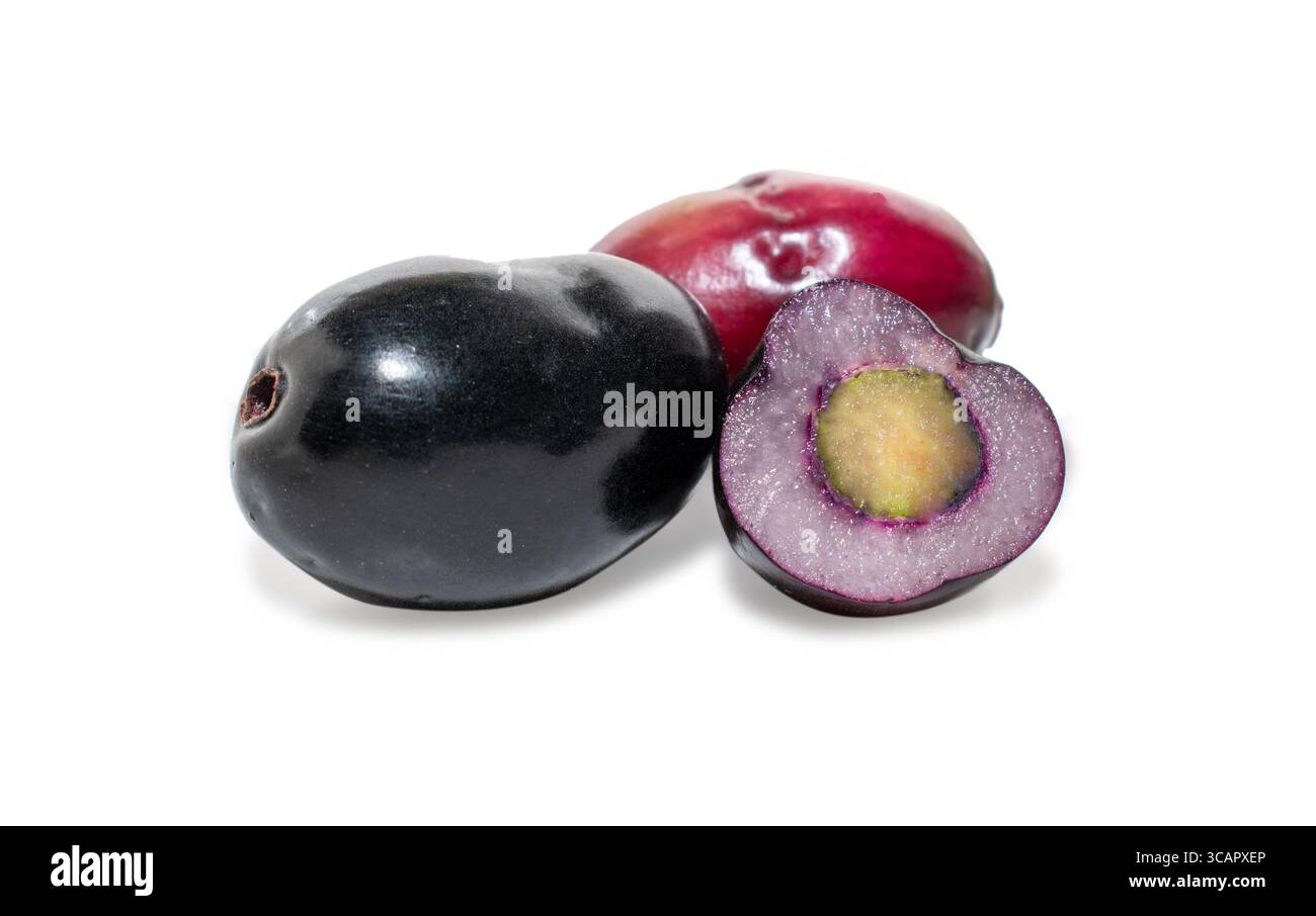 Jambolan plum or Java Plum (Syzygium cumini ) fruit isolated on white ...