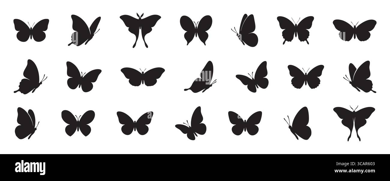Beauty logo forms Black and White Stock Photos & Images - Alamy