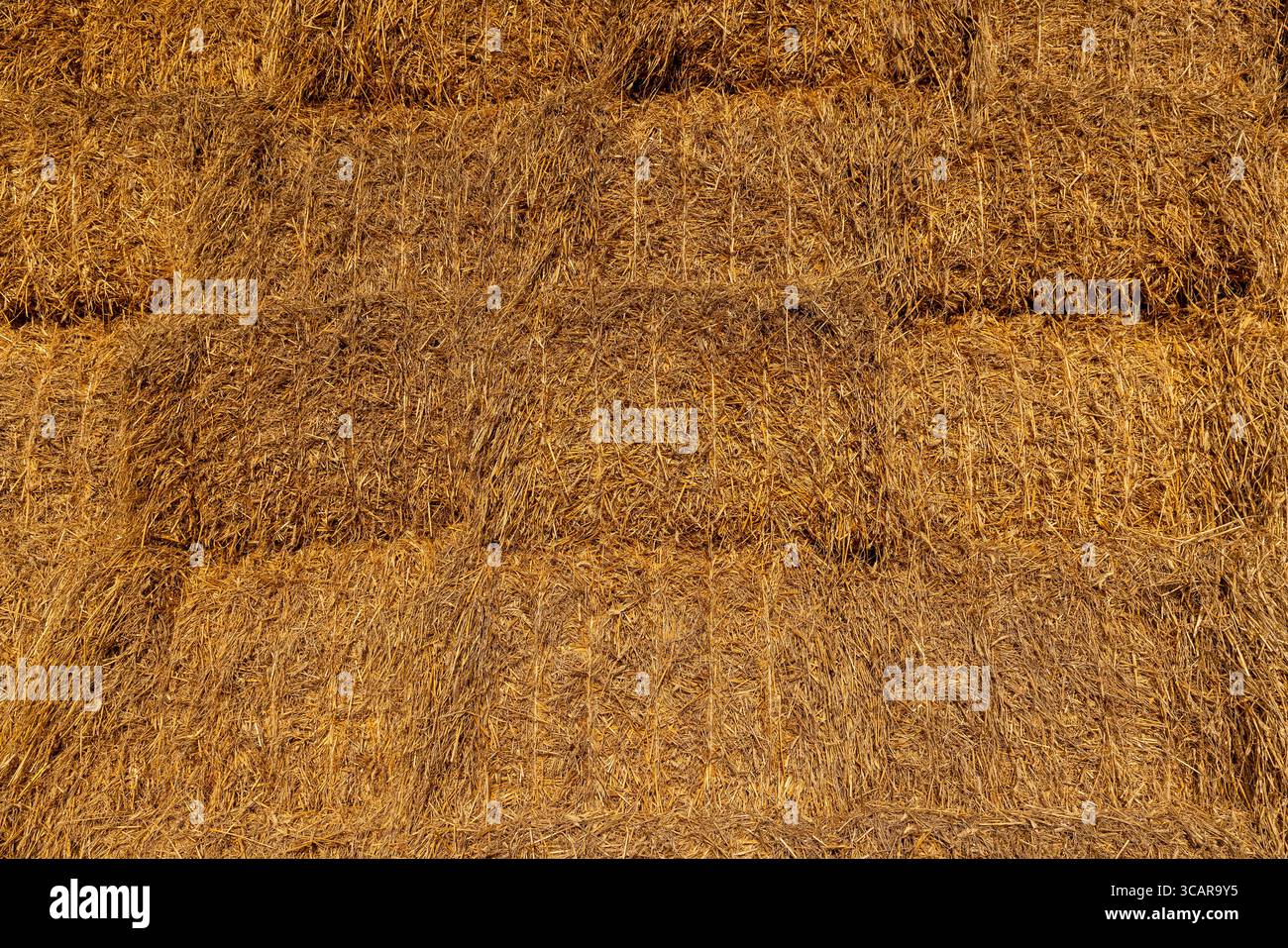 rectangular stacks of straw in the field , stacked one on one stack of ...