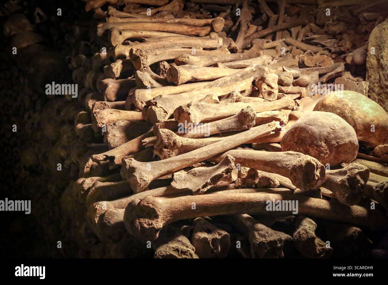 Catacombs human skulls bones hi-res stock photography and images - Alamy