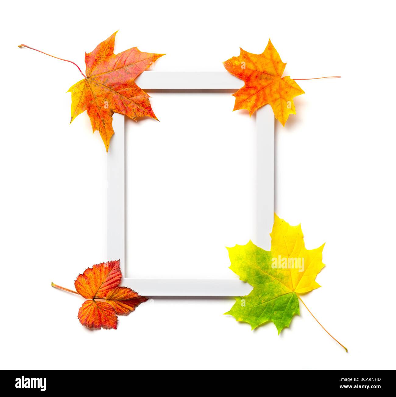 Blank wooden photo frame with colorful autumn leaves isolated in white ...