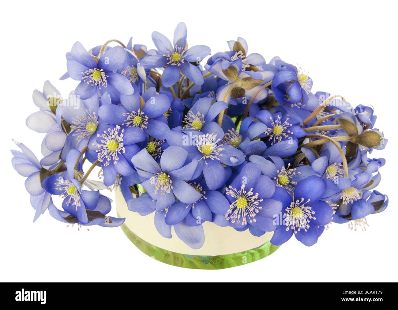 Spring landscape on wild Cut Out Stock Images & Pictures - Alamy