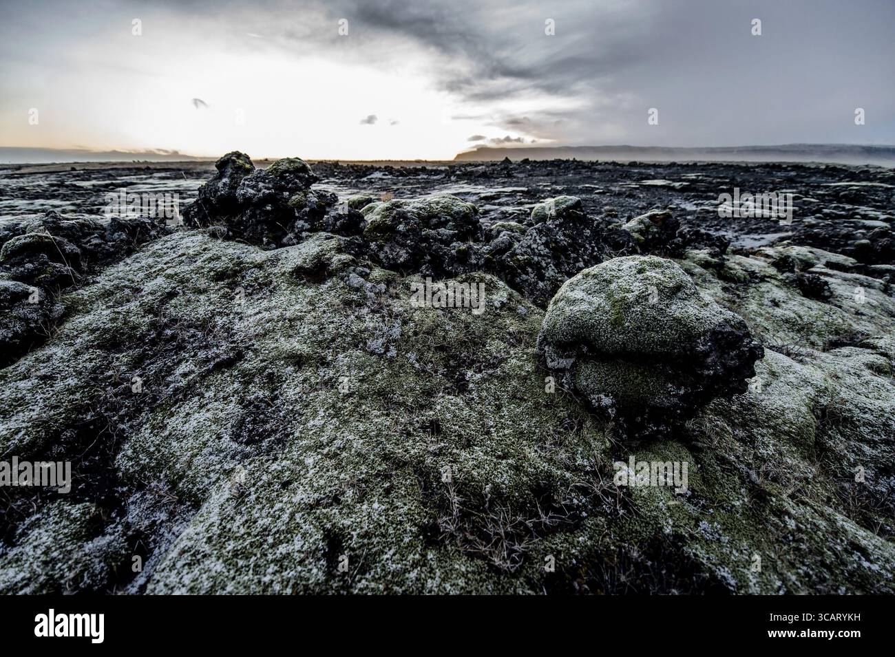 Stones and Moss along the Ring Road, Mountains, Frost, Winter, Cold ...