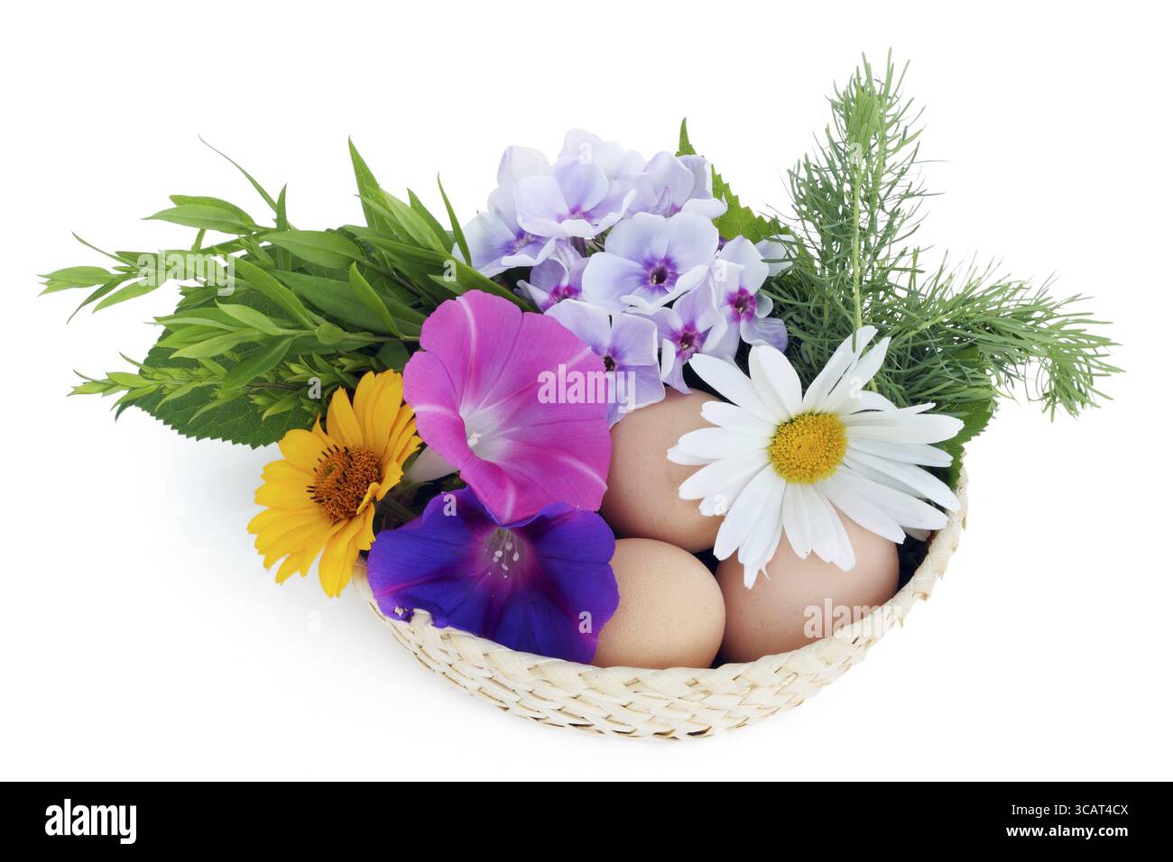 Characteristic flower Cut Out Stock Images & Pictures - Alamy