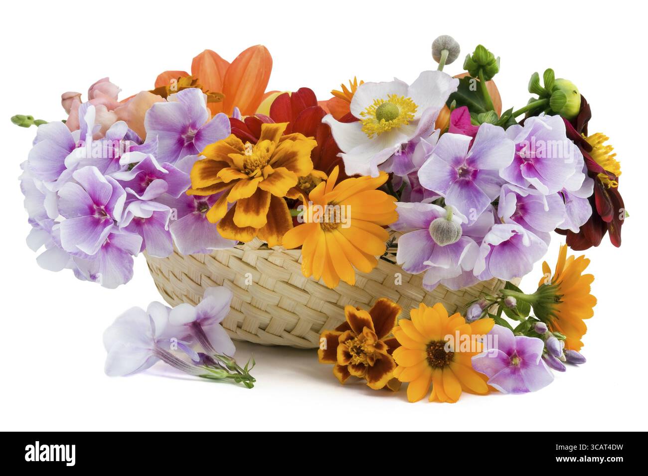 Depth selective Cut Out Stock Images & Pictures - Alamy