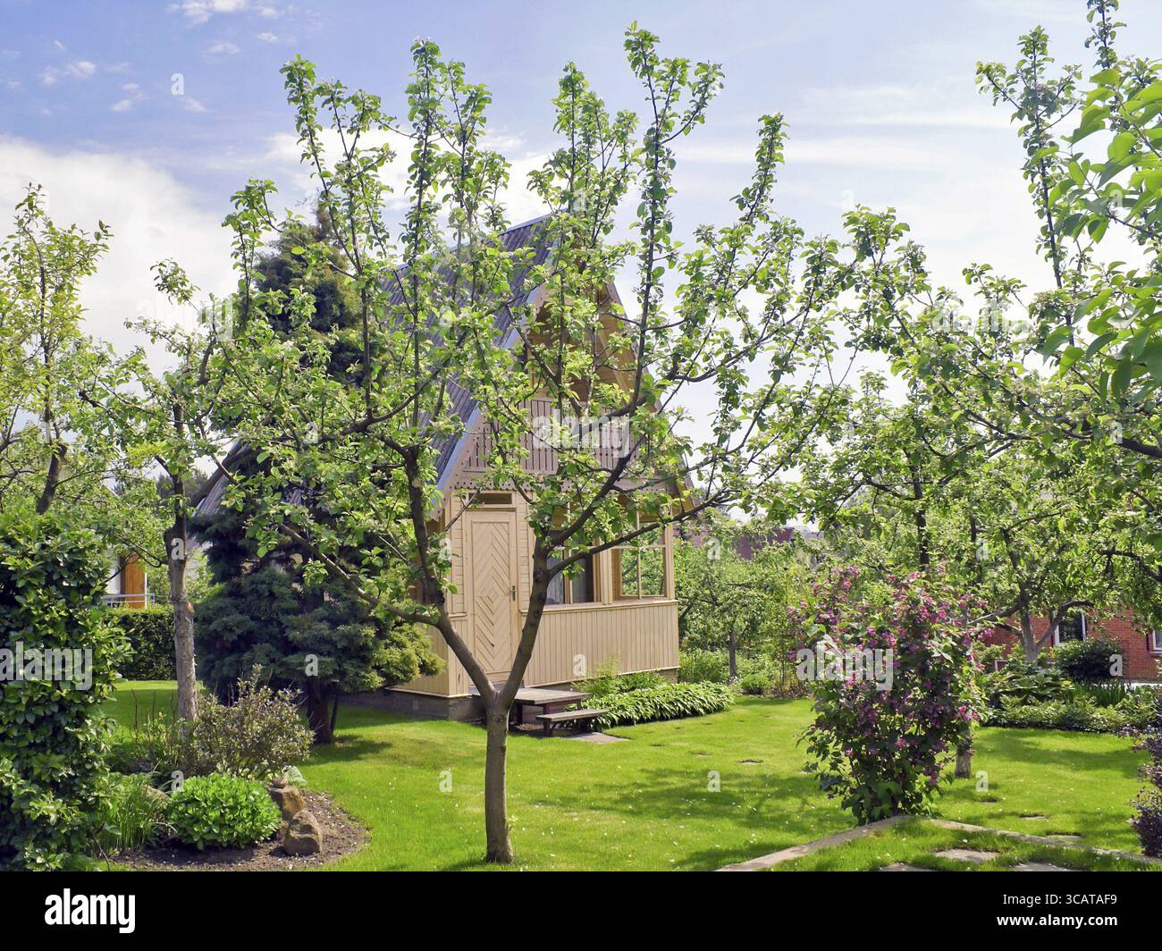 Fine plants and ornamental shrubs near an accurate rural cottage Stock ...