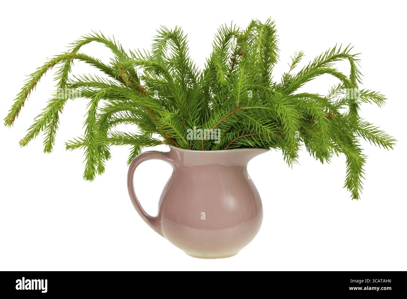 Simple is not decorated Christmas fir branches in rustic ceramic jug ...