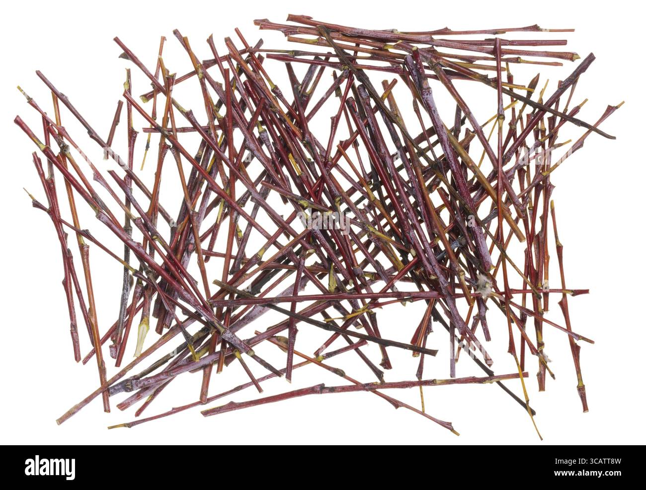 Vine stick Cut Out Stock Images & Pictures - Alamy